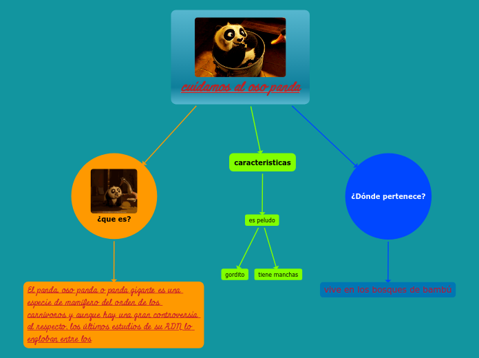 cuidamos al oso panda - Mind Map